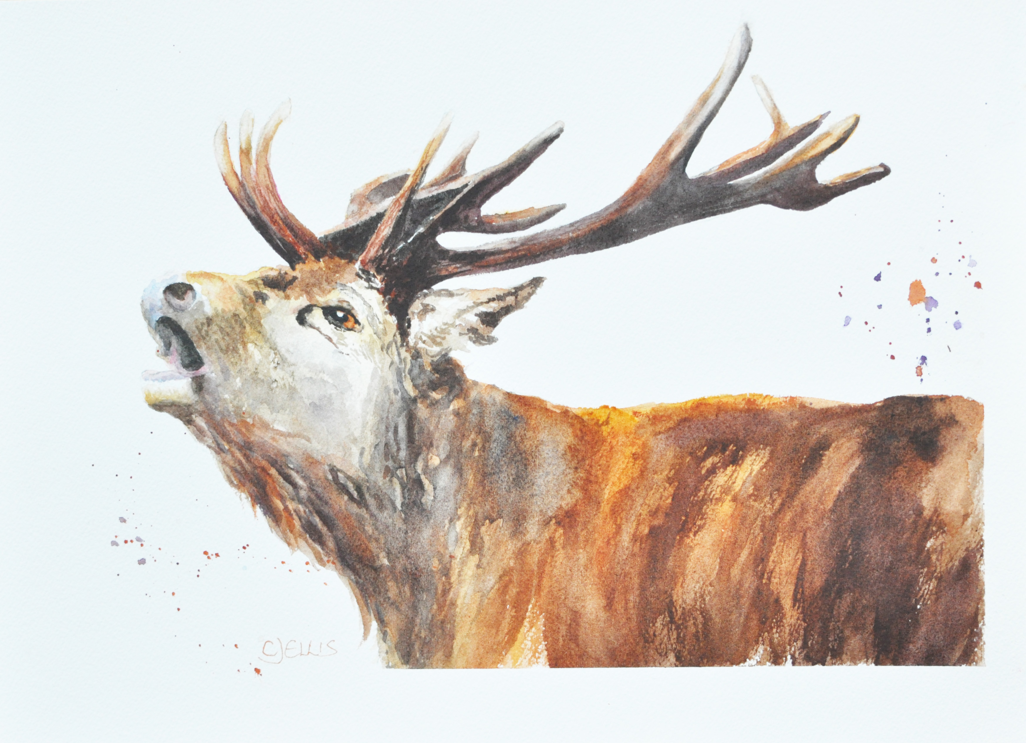Prayers – Chris Ellis Art